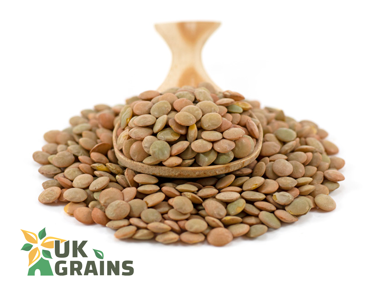 Bulk Green Lentils 25kg - £39.95 per bag Free Pallet Delivery - UKGrains