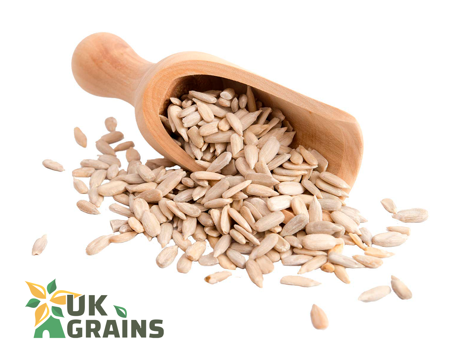 Bulk Raw Sunflower Seeds 20kg - £29.95 Free Pallet Delivery - UKGrains